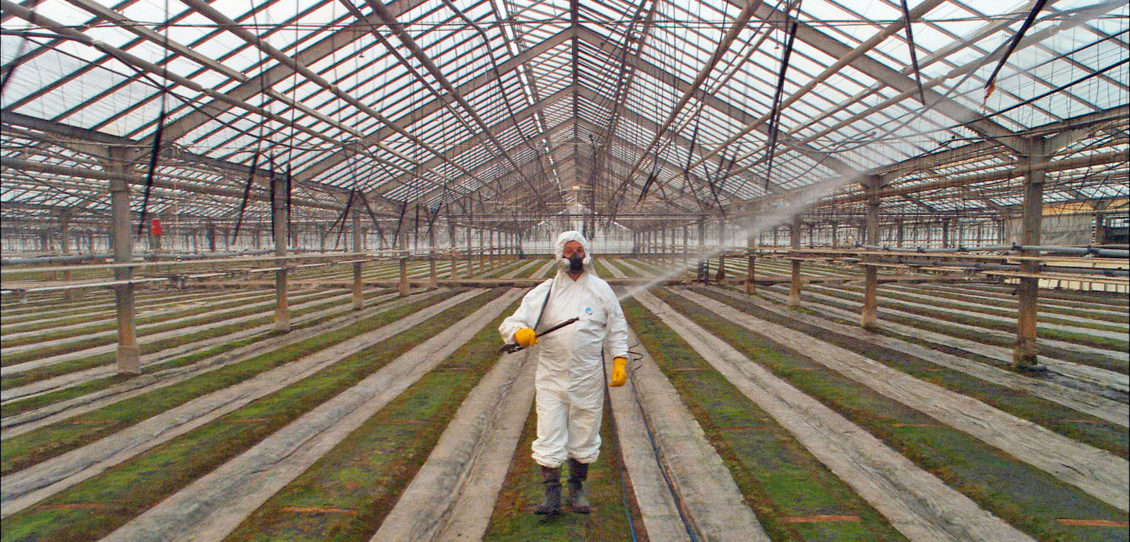 Our Daily Bread Film